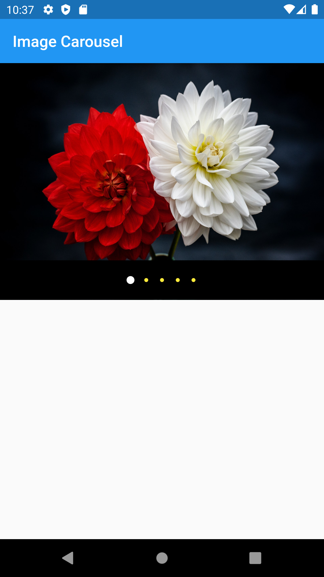 Image Carousel In Flutter